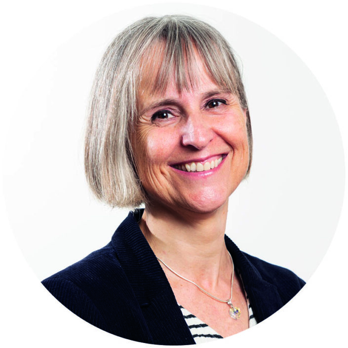 Het team – De Hoofdlijn